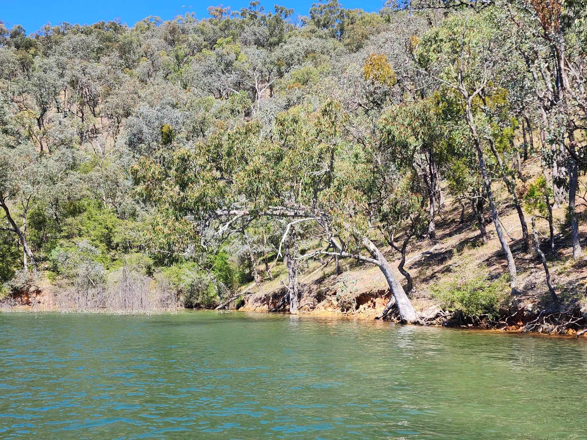 Preston Northcote Angling Club